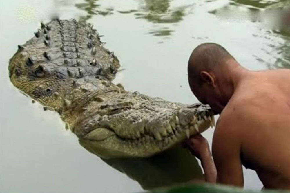 This Indian Temple Is Home to a ‘Vegetarian’ Crocodile