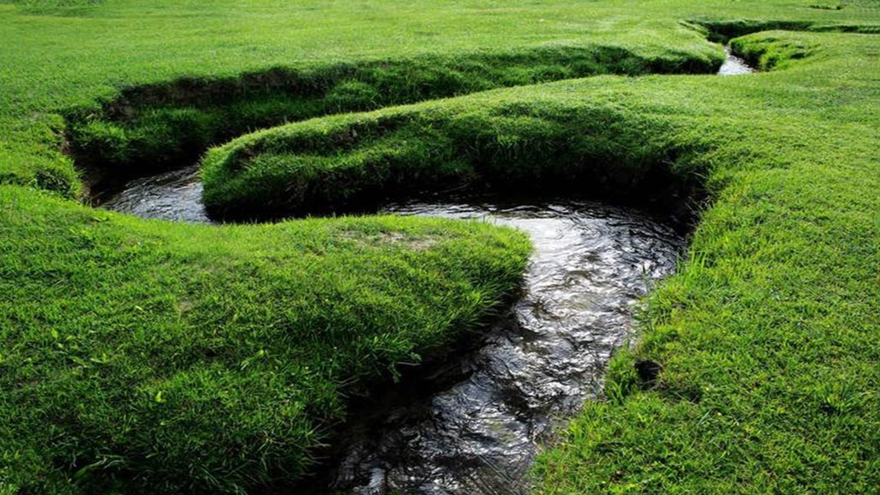 The World s Narrowest River Is Only A Few Centimeters Wide The World s Narrowest River Is Only A Few Centimeters Wide