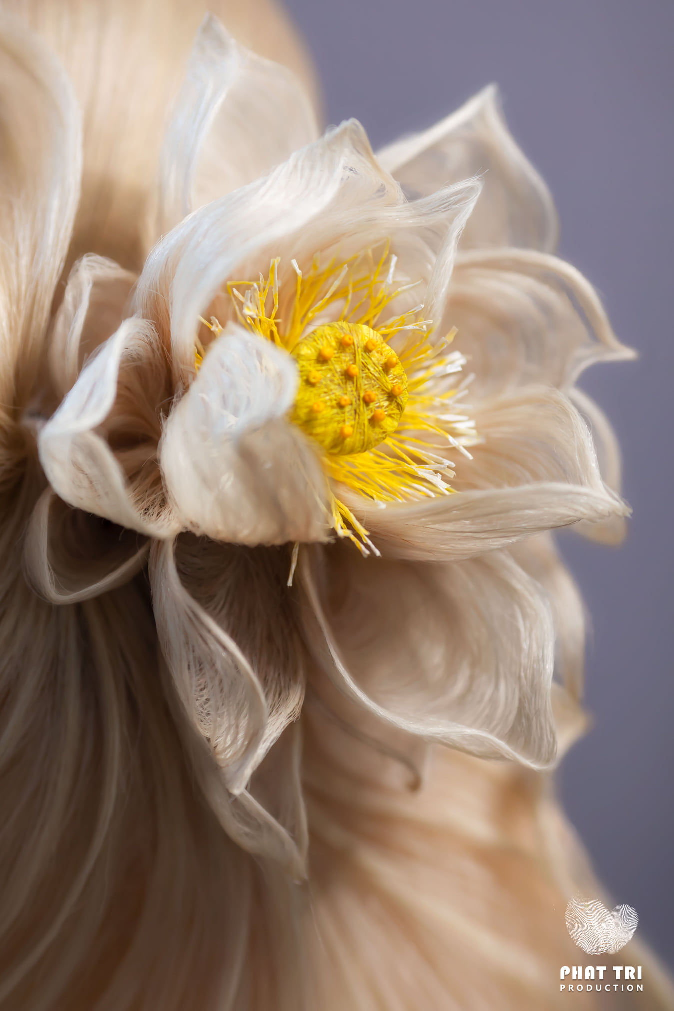 Talented Hairstylist Creates Spectacular Flower-Shaped Designs