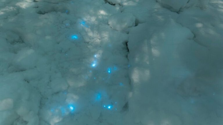 Scientists Discover Blue Glowing Snow in the Russian Arctic