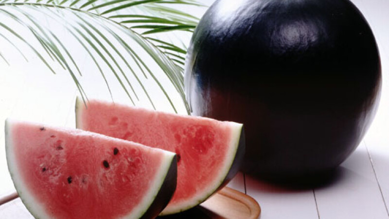 Densuke – The World’s Most Expensive Watermelon