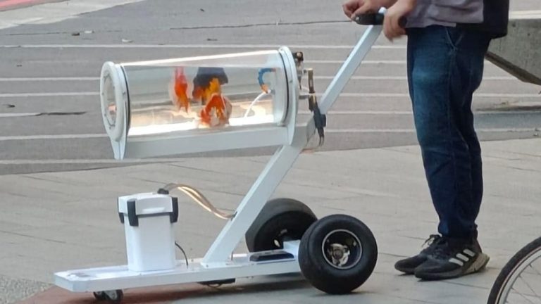 YouTuber Creates Custom Fish Tank So He Can Take His Goldfish on Walks