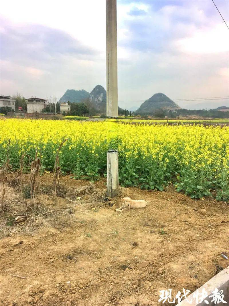 Chinese Artist Hides Optical Illusions in Plain Sight