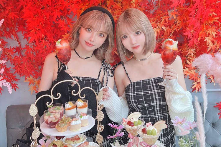 Plastic Surgery Before And After Korean Twins