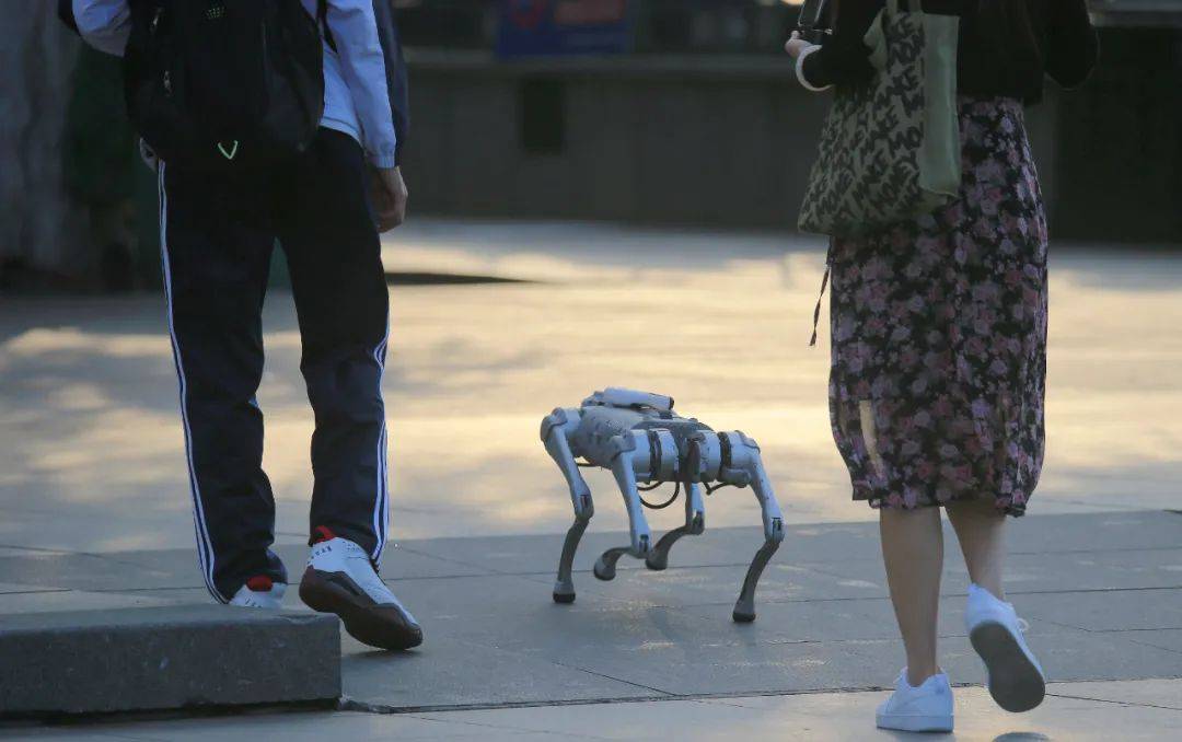 Walking Robot Dogs Is Apparently Becoming a Trend in China