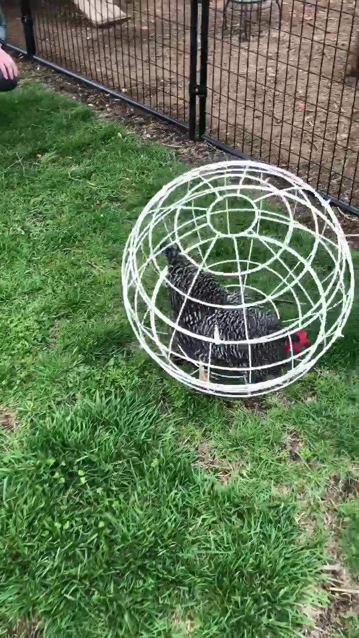 This Metallic ‘Chicken Orb’ Is Sparking Heated Online Debates