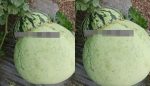 Chinese Farmer Claims to Have Created Half-Melon Half-Watermelon Hybrid ...