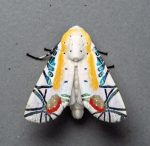 The Picasso Moth Is Truly a Living Work of Art