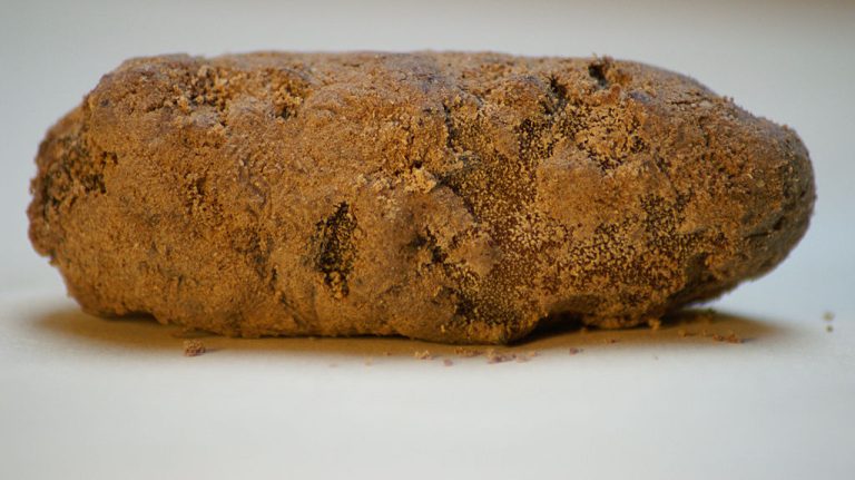 Milbenkäse – The Rare German Cheese Infested with Live Mites
