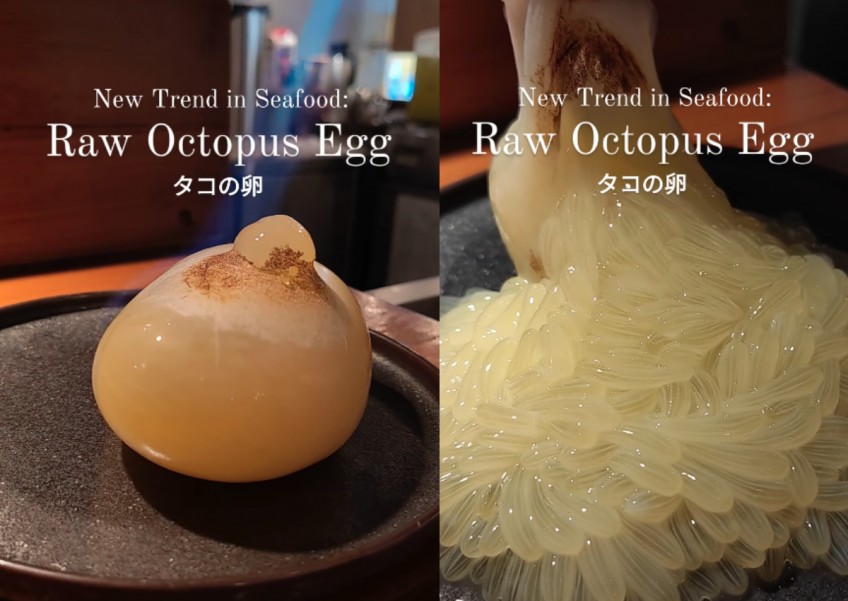 Restaurant Sparks Controversy for Serving Alien-Looking Raw Octopus Eggs