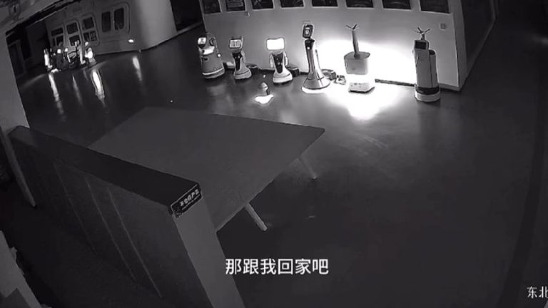 Robot Manufacturer Has 12 Robots ‘Kidnapped’ from Showroom by Another Robot