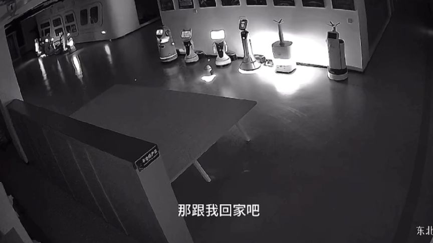 Robot Manufacturer Has 12 Robots ‘Kidnapped’ from Showroom by Another Robot