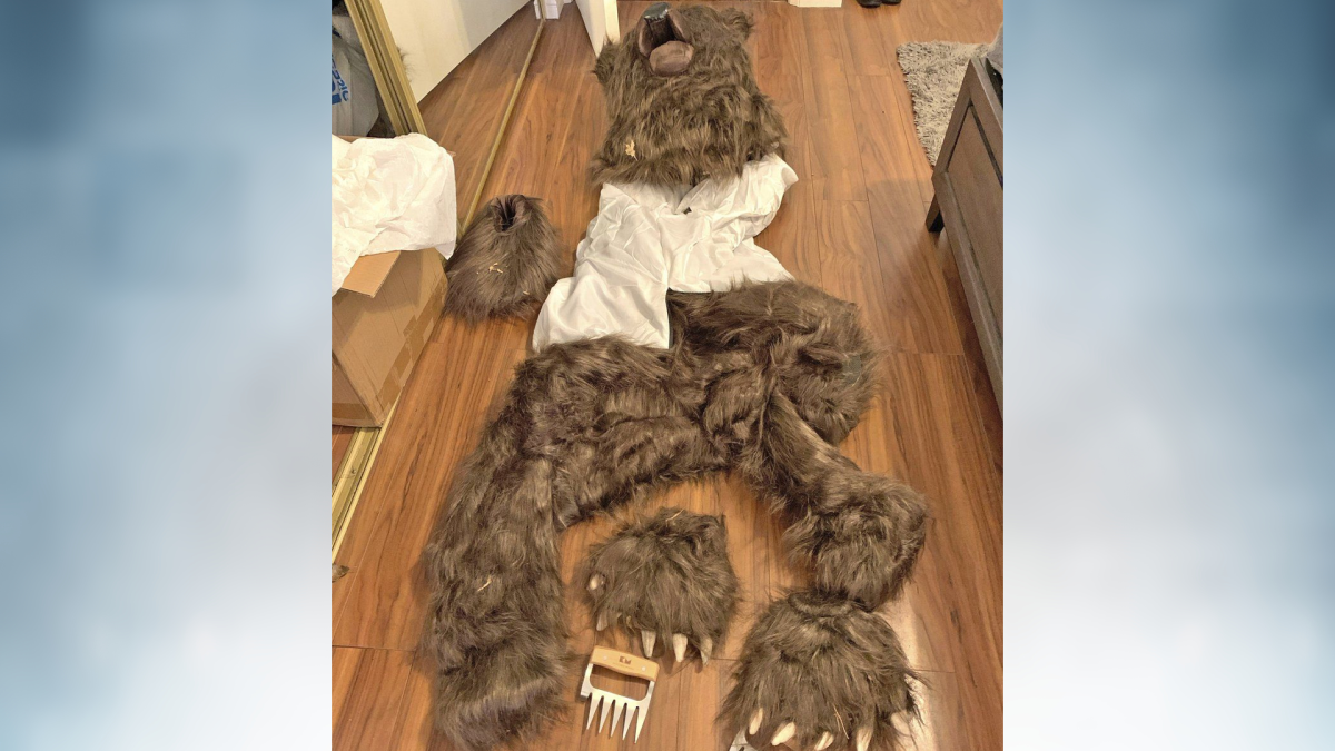 Four People Arrested for Using Bear Suit to Fake Bear Attacks on Their ...