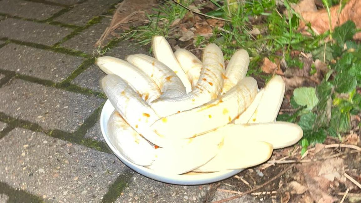 Someone Keeps Leaving Plates of Peeled Bananas on a Street Corner, And ...