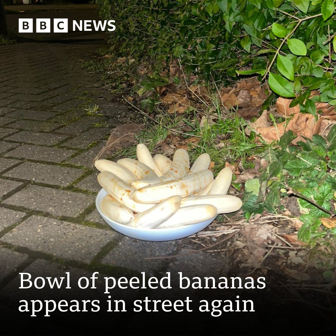 Someone Keeps Leaving Plates of Peeled Bananas on a Street Corner, And ...