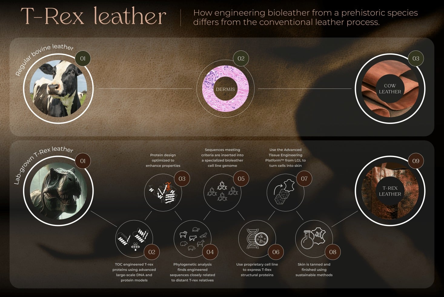 Lab-Grown T-Rex Leather Handbag Created Using Protein Found in Fossils