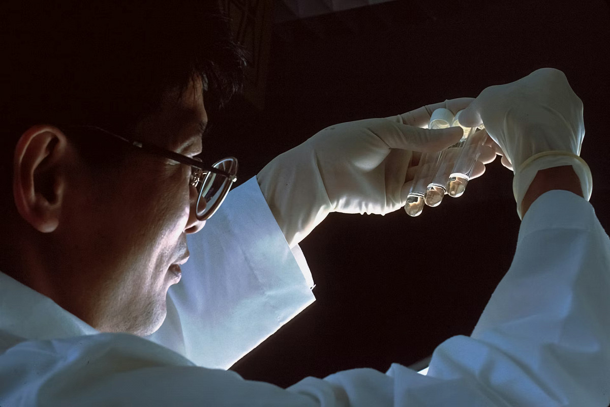 Chinese Scientists Create Pill That Can Allegedly Extend Human Life Up ...