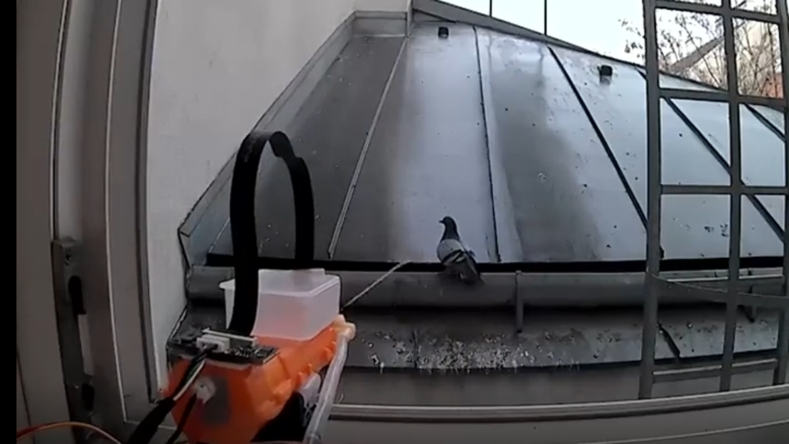 Man Builds Autonomous AI-Powered Water Gun Turret to Keep Pigeons Away